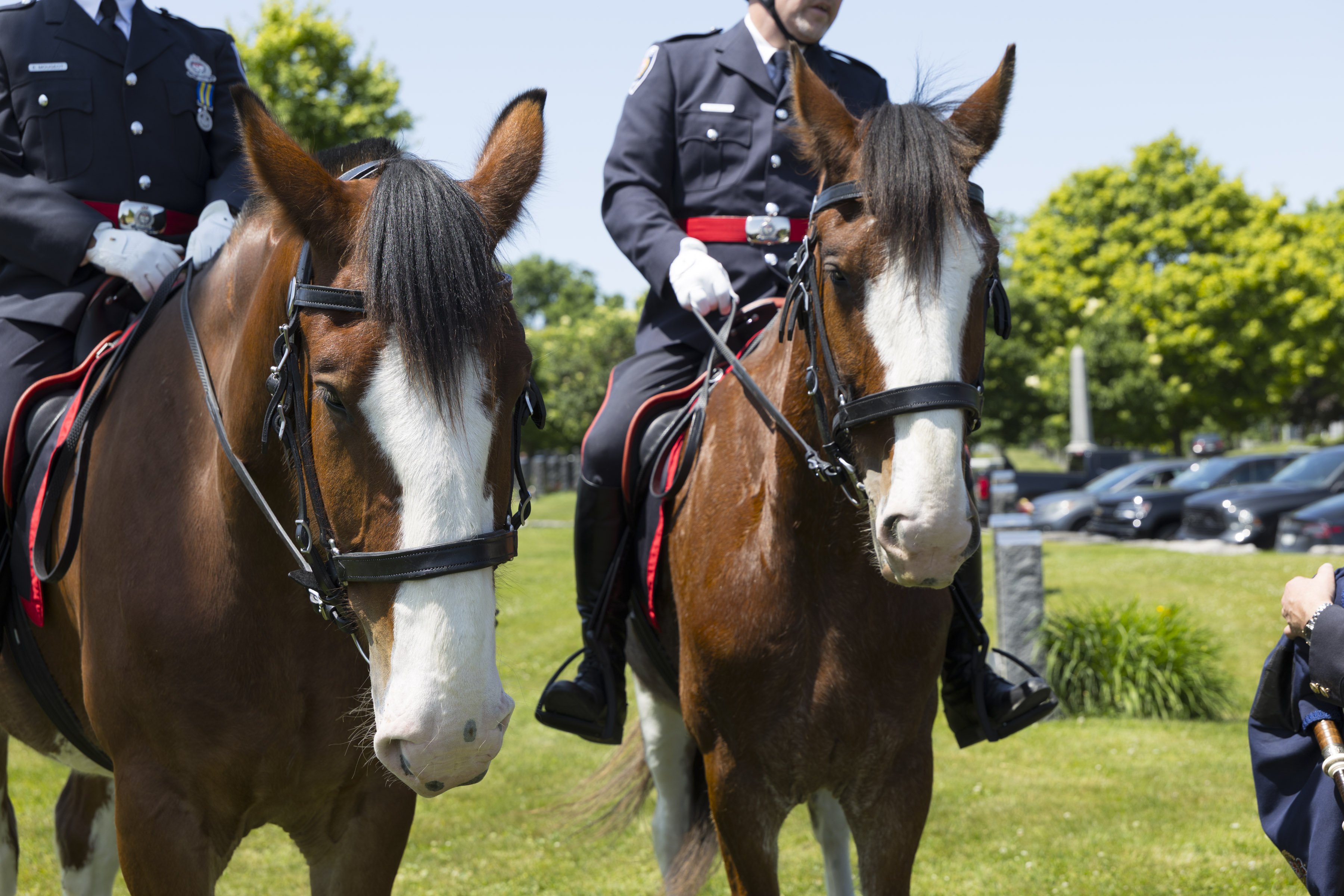 Our Ottawa - Ottawa Police Service