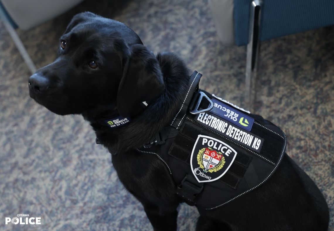 Our Ottawa - Ottawa Police Service