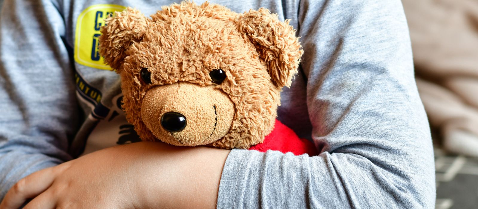 Teddy Bear Program - Ottawa Police Service