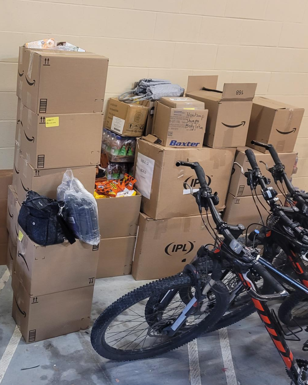 Thank You to Lionhearts for Supporting the Purse Project’s 10th ...