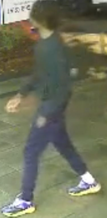 Suspects to identify in personal robbery - Ottawa Police Service