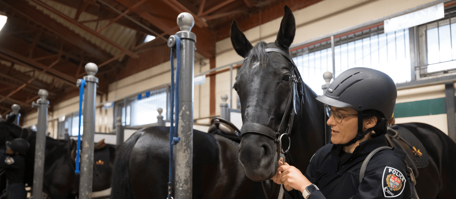 Mounted Unit - Ottawa Police Service
